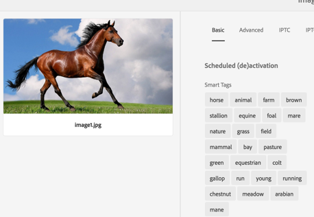 Improving Asset Search Experience By Using AEM Smart Tags Feature