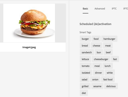 Improving Asset Search Experience By Using AEM Smart Tags Feature